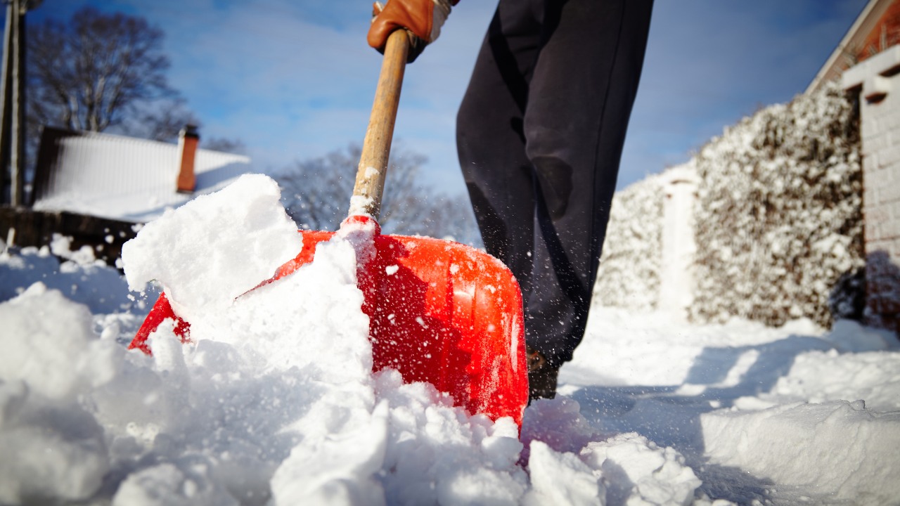 Shoveling Snow: AKA the Winter Weightlifting Championship - React ...